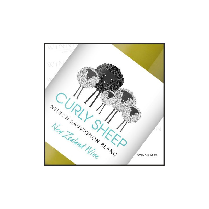 Wino Curly Sheep Sauvignon Blanc